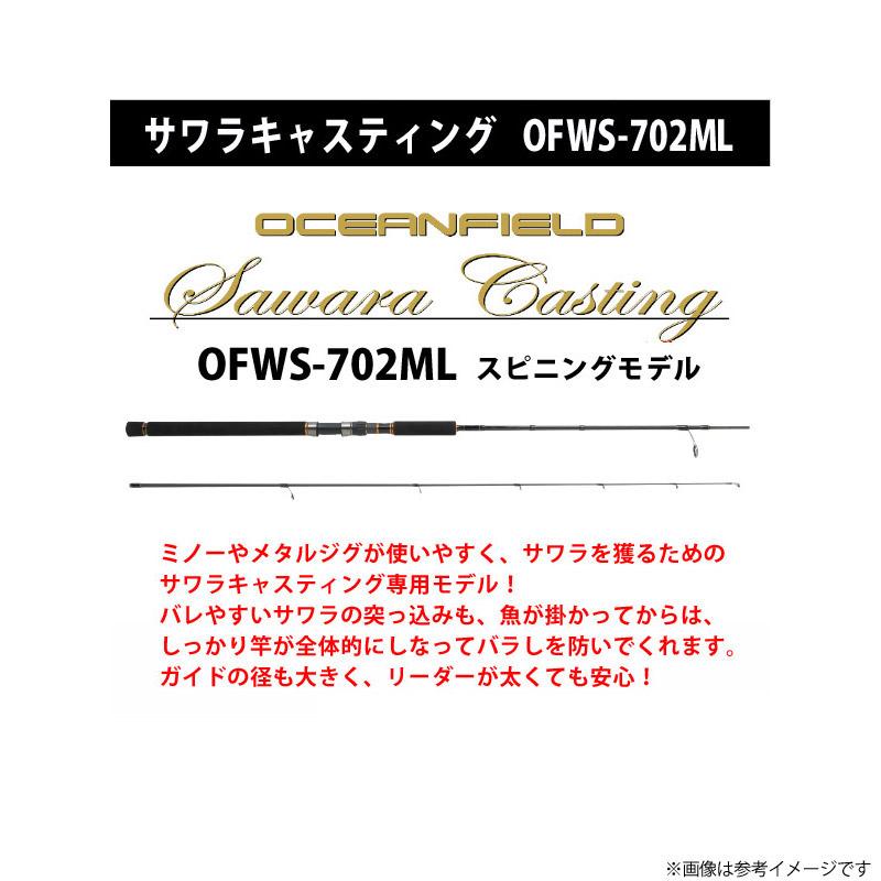 OCEANFIELD 【サワラ・青物 キャスティング入門セット】○アブガルシア