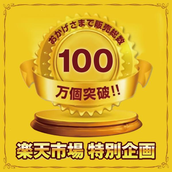 SUPER NATTO バイク バッテリー SB14-A2 YB14-A2 GM14Z-4A FB14-A2互換 お得2点セット バッテリー+充電器(チャージャー) スーパーナット 総販売数 ...