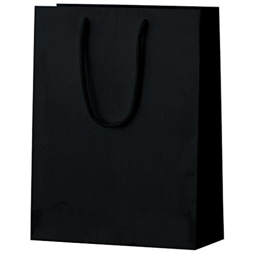 丸玉工業 紙袋 シャイニーバッグ 手提げ袋 Mサイズ 黒 10枚 : BAXON SHOP 本店 - 通販 - Yahoo!ショッピング