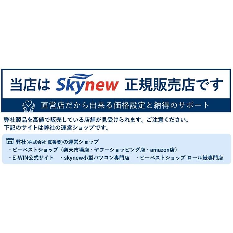 Skynew ミニpc デスクトップpc Windows11pro 小型 軽量 省電力 持ち運び インテル N100 12GB LPDDR5/512GB Nvme SSD/Wi-Fi6 ...