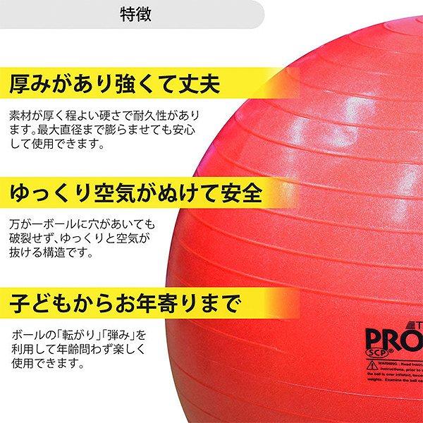 D&M D＆M SDSエクササイズボール レッド SDS55 ディーエム : 野球用品ベースボールタウン - 通販 - Yahoo!ショッピング