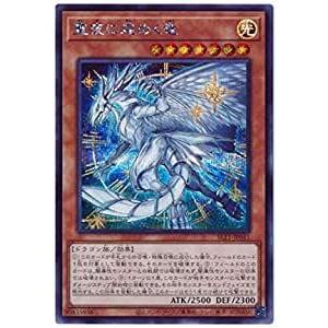遊戯王 第11期 SLT1-JP041 聖夜に煌めく竜【シークレットレア】 : B-button - 通販 - Yahoo!ショッピング