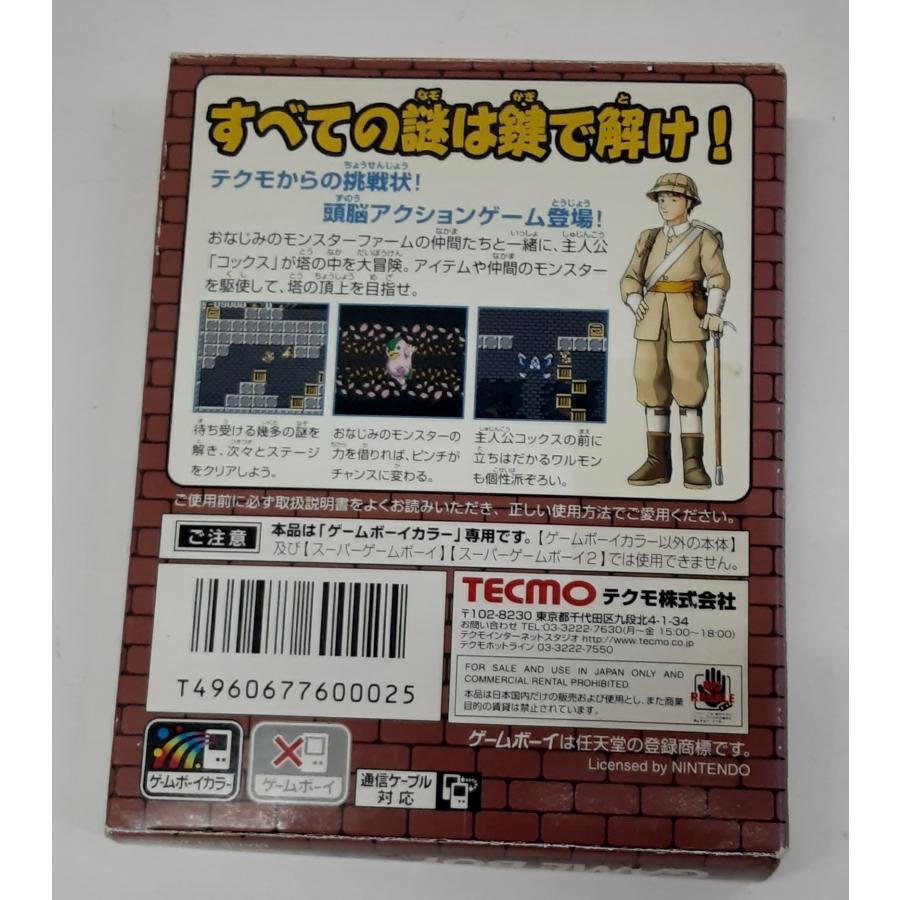 ソロモン Solomon ゲームボーイカラー GB ゲームソフト 箱・説明書・ハガキ付き 動作確認済み : bbggb-5j374 : B ...