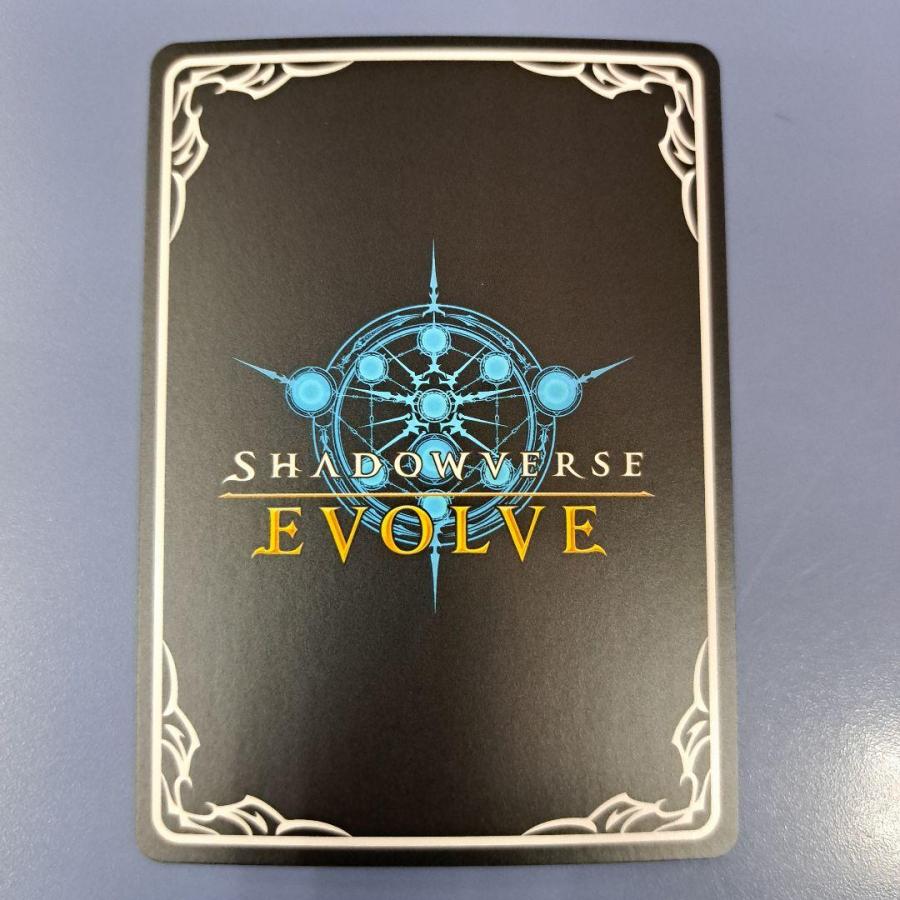 ドラゴニック・オーバーロード CSD03b SL01 シャドウバース エボルヴ : B-button - 通販 - Yahoo!ショッピング