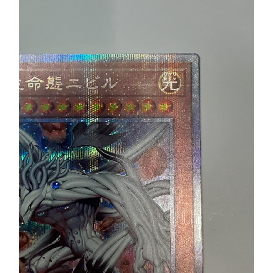 原始生命態ニビル イラスト違い 25th クォーターセンチュリーシークレットレア クオシク 遊戯王 QCAC-JP010 ART COLLECTION : B-button - 通販 ...