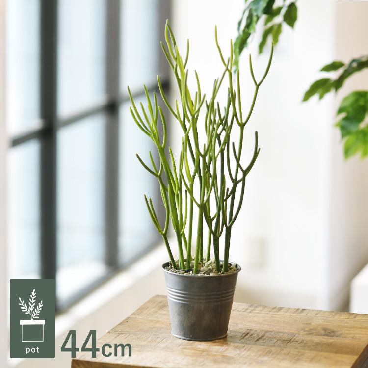 観葉植物 フェイクグリーン インテリアグリーン リラックス 癒し 造花 北欧 ンテリア ミルクサンゴ ポット GLA-1359-GR : rooming - 通販 - Yahoo!ショッピング