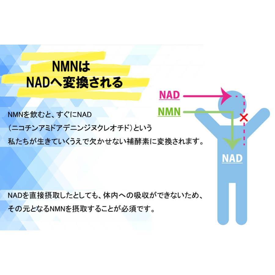 NMN＋Q （エヌエムエヌ プラス キュー）180カプセル【サンプル3袋プレゼント！！】 ニコチンアミド・モノヌクレオチド＆ケルセチン : ビューストア - 通販 - Yahoo!ショッピング