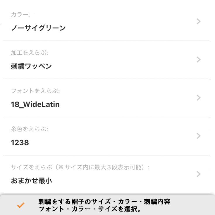 1個から簡単オリジナル刺繍の帽子作成 POINT SKYWARD（ポイントスカイワード） ammono 12カラー 格安 短納期 高品質 ...
