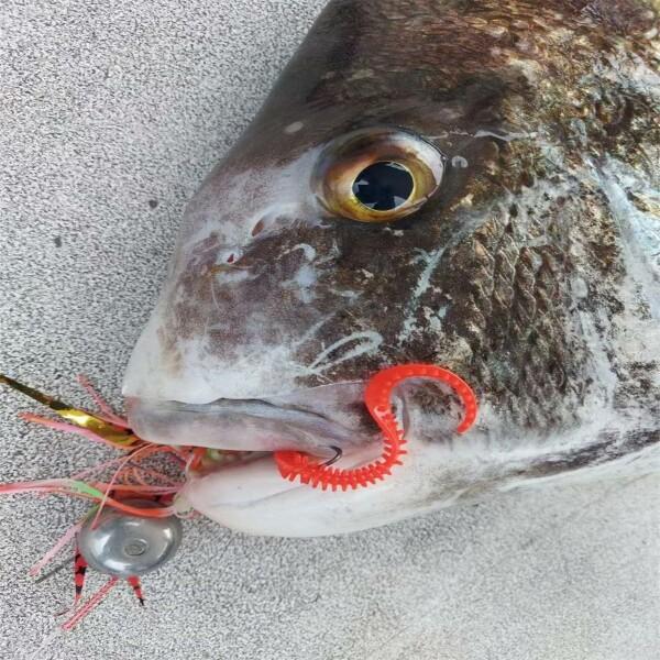 3個セット鯛ラバ タイラバ タングステン ヘッドタイラバヘッドオモリ45g 60g 80g 100g 120g 150g : 37074236150 : BECKSHOP - 通販 ...