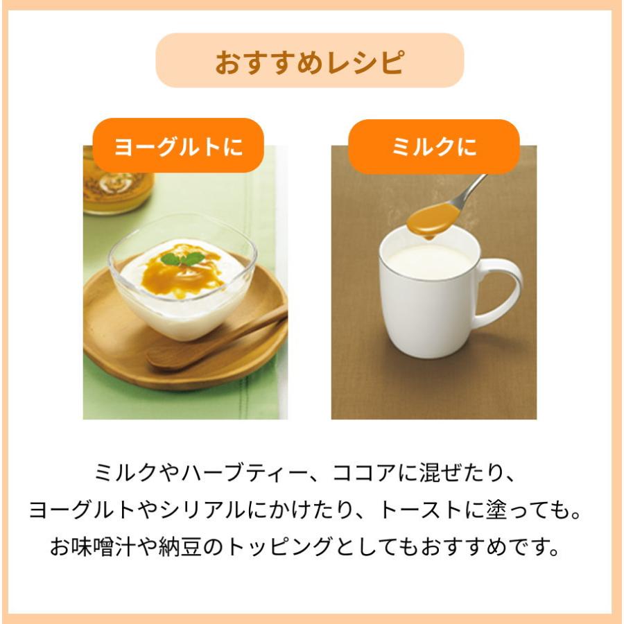 Veda Vie 機能性表示食品 血流 血行 代謝 アップ 無添加 生姜 しょうが サプリメント ヴェーダヴィ ジンジャーペーストEX : ミロビーナ・美ナチュラル - 通販 - Yahoo ...