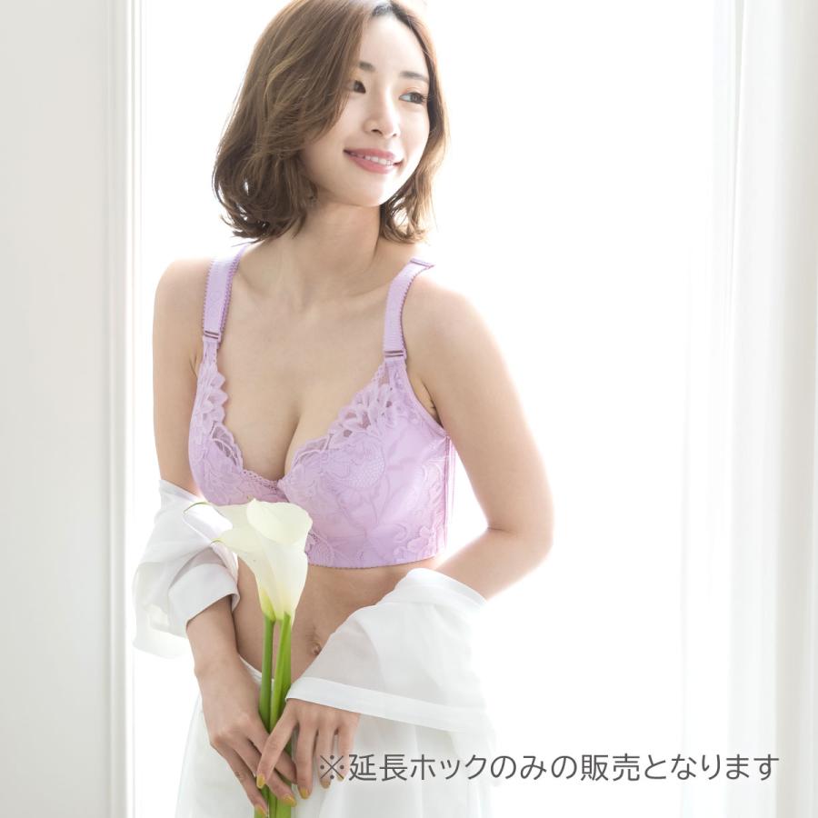 BeHe（ベーエ） ブラジャーホック ブラジャー 延長ホック 脇高ブラ用 フック ホック 4段 5段 ほっく ふっく フック : BeHe(ベーエ)Yahoo!店 - 通販 - Yahoo ...