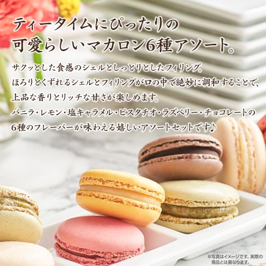 フランス Mag'm（マグム）マカロン12個入×2箱セット| 冷凍 : ベイシア ヤフーショップ - 通販 - Yahoo!ショッピング