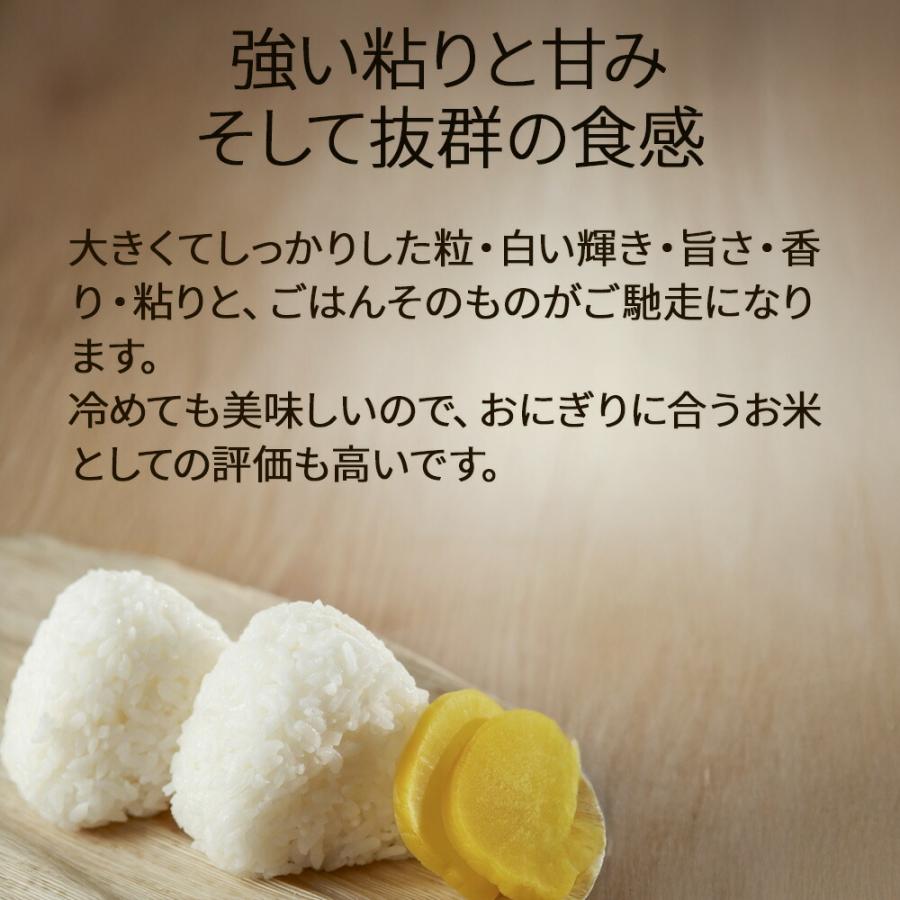 令和7年度産つや姫10kg（5kg×2袋） : ベイシア ヤフーショップ - 通販 - Yahoo!ショッピング