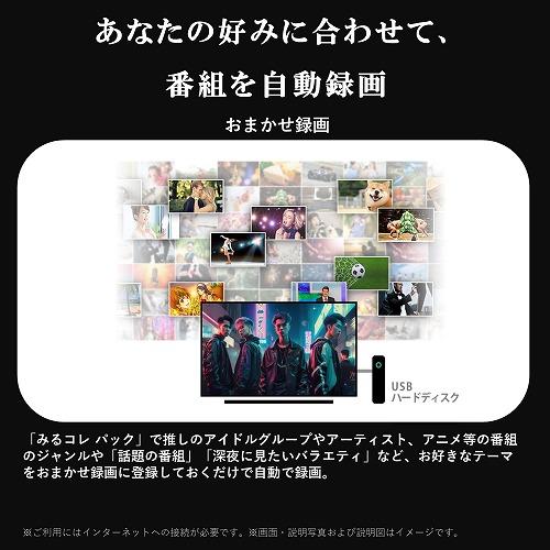 REGZA 40インチ ネット動画対応 Airplay フルハイビジョン V35N REGZA 40インチ ネット動画対応 Airplay フルハイビジョン V35N