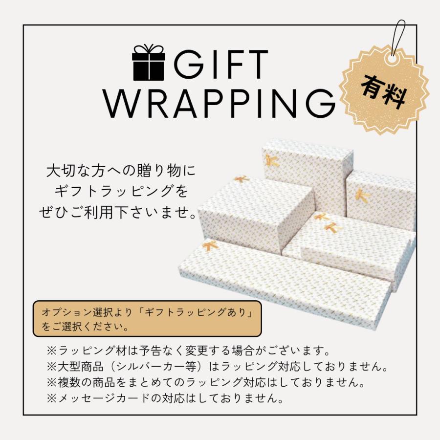 介護シューズ 介護用 靴 外履き レディース 女性用 快歩主義L118 ブラックスムース ワインスムース サンドベージュ ブラックストレッチ 22.0cm〜25.0cm 3E : 211163 ...