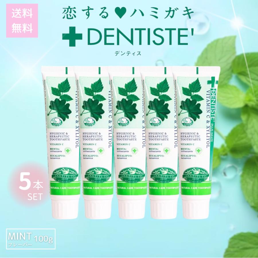 デンティス 歯磨き粉 ミント 口臭ケア 100g 5本セット : BEN-See store - 通販 - Yahoo!ショッピング