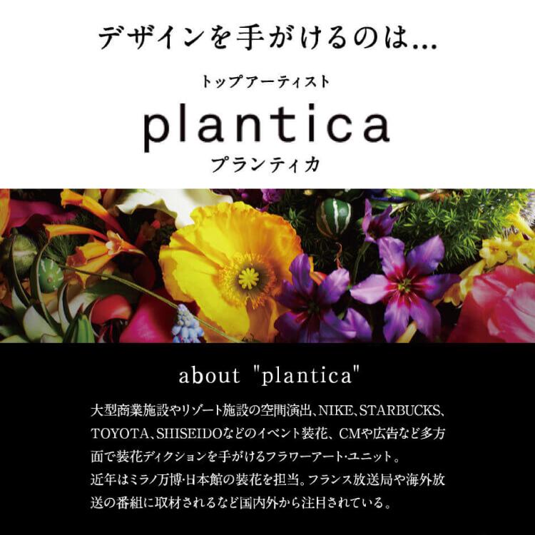 公式 DR METHOD Bellina ベリーナ 3枚セット くびれ 補整下着 下半身太り 送料無料 DRMETHOD : Anynext Yahoo!店 - 通販 - Yahoo!ショッピング