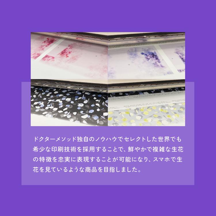 「ZEROISM ゼロイズム シームレスブラ」DR METHOD ドクターメソッド 公式 医学発想 女医開発 ノンワイヤー補整ブラ インナーウェア 縫い目ゼロ 響きにくいブラ ...