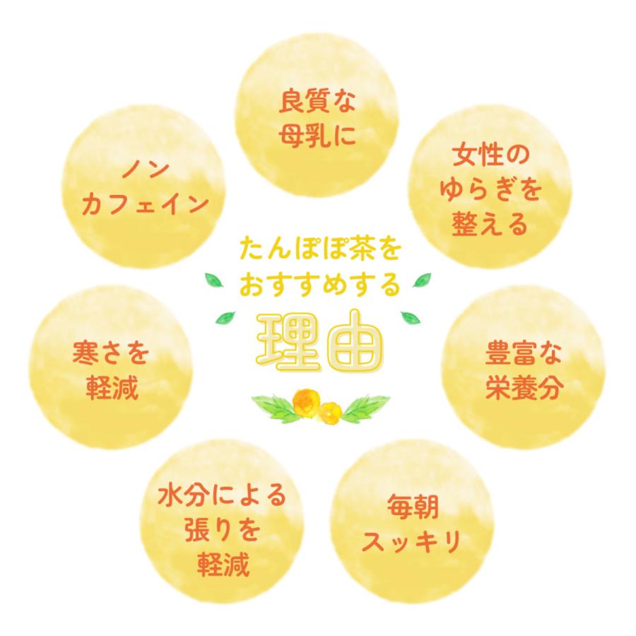 Berpy（バーピー） たんぽぽ茶 国内焙煎 2g×30包 ノンカフェイン ティーバッグ 母乳 育児 タンポポコーヒー 無添加 : ケアランド - 通販 - Yahoo!ショッピング