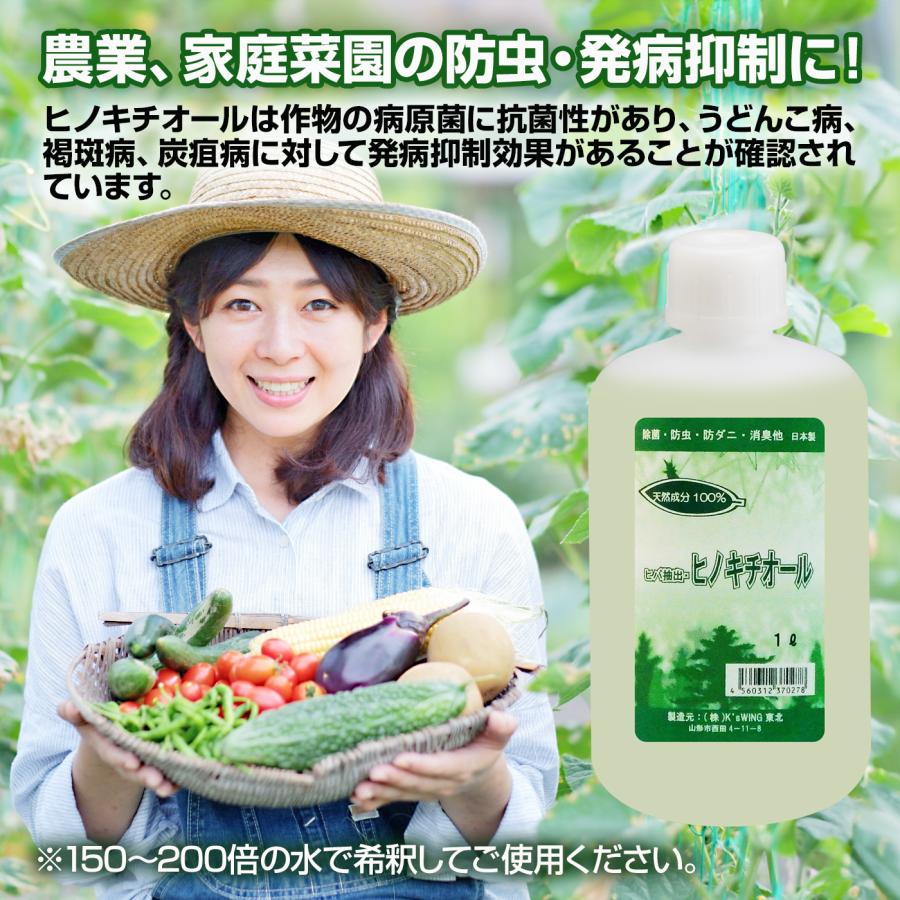 除菌 防虫 防カビ ヒバ抽出・ヒノキチオール1L ヒノキの香り 檜 アロマ 癒し効果 消臭剤 防虫剤 ポイント利用 : ベニーズYahoo!ショップ - 通販 - Yahoo!ショッピング
