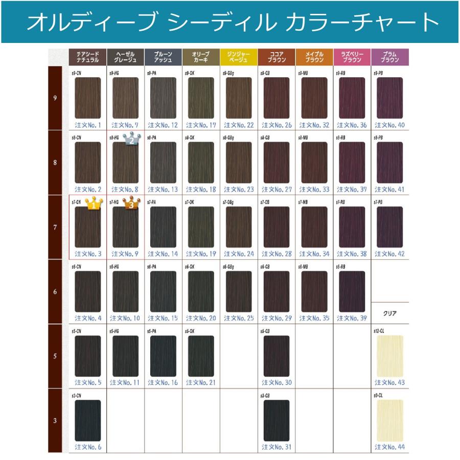 オルディーブ シーディル 白髪染め ヘアカラー オルディーブシーディル オキシ 1000mlセット セット 1000mlオキシ 純正オキシ 1Lオキシ : ordeve-seedil-set ...