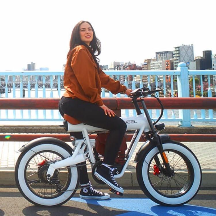 [電動アシスト自転車] 2025年モデル COSWHEEL MIRAI COMFORT スカイグレー｜EBIKE コスウェル 公道仕様 沖縄と離島配送不可 送料無料 : ビザインショップ ...