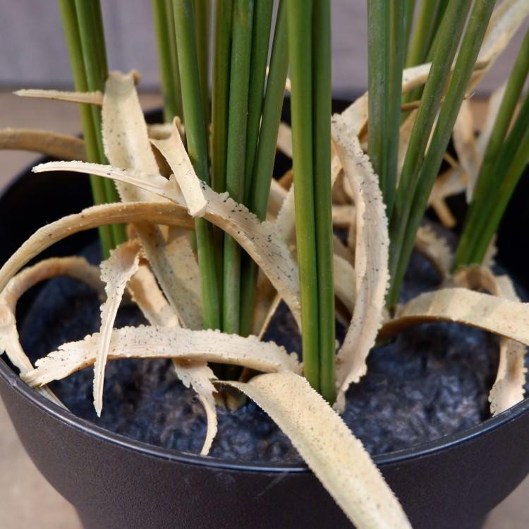 フェニックスパームポット 142cm アーティフィシャルグリーン 人工観葉植物 簡易鉢付きグリーン VR22030 : ビザインショップ - 通販 - Yahoo!ショッピング