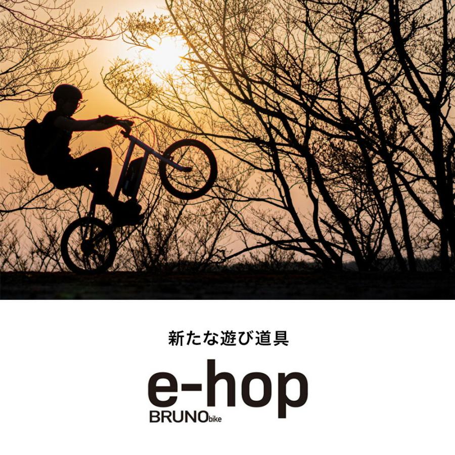 BRUNO ブルーノ 電動 自転車 E-バイク e-tool イーツール 21年モデル 8段変速 20インチ ママチャリ 子供乗せ 通勤 通学 防犯登録可 プレゼント付 大型車体配送 ...