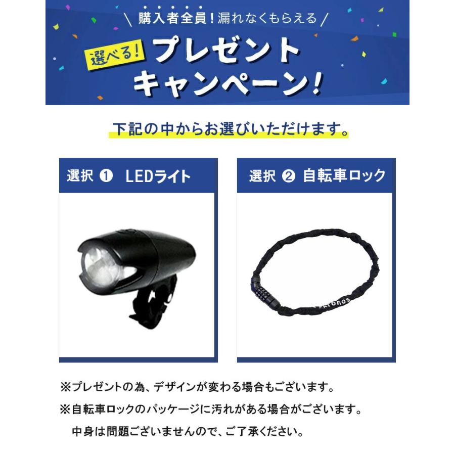 Tern ターン 自転車 ミニベロ Surge PRO サージュ プロ 2024年モデル 20インチ 20段変速 小径車 プレゼント付き 防犯 ...