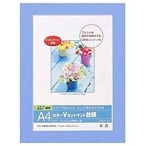 ナカバヤシ Vカットマット台紙 Digio (A4／ブルー) DGVM-A4-B : ベスト電器Yahoo!店 - 通販 - Yahoo!ショッピング