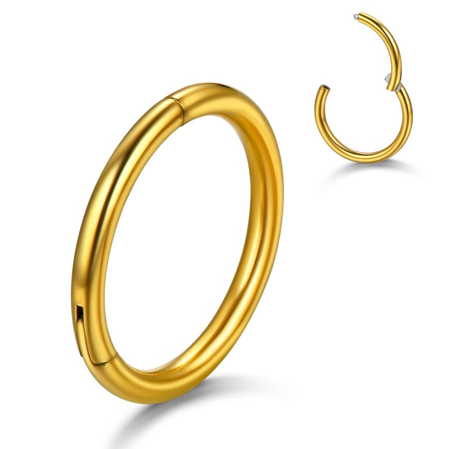 KeyStyle GoldChic Jewelry 316L サージカルスチール ヒンジ付き ノーズリング フープ 20G 6mm 並行輸入品 : hfayb0bp1pqjvrk : Best ...