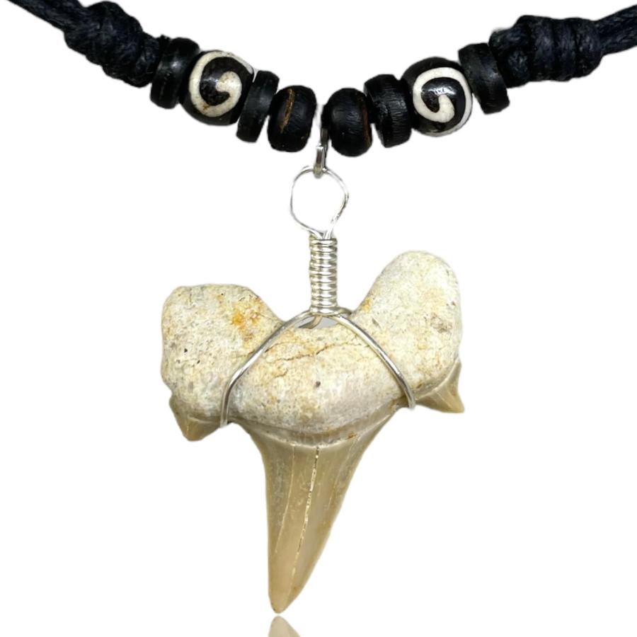 【並行輸入品】Fossilized Shark Tooth Necklace Genuine Fossil Nec : Best Style ...