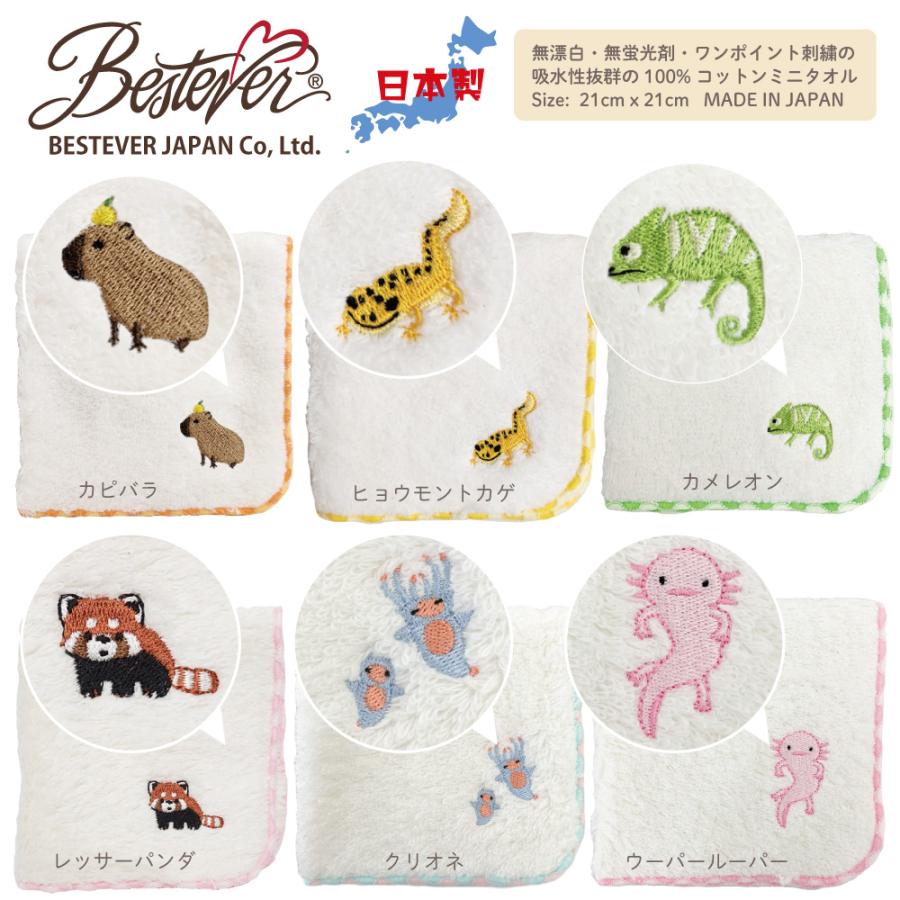 かわいい動物のワンポイント刺繍付き 無撚糸パイルハンドタオル カメレオン ヒョウモントカゲモドキ カピバラ レッサーパンダ クリオネ ウーパールーパー : 54067 : ベストエバージャパン ...