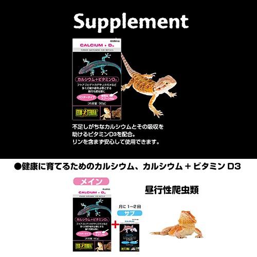 カルシウム+ビタミンD3 90g PT1856 GEX（ジェックス） 爬虫類 両生類 サプリメント 栄養剤 昼行性 トカゲ カメ カエル ヘビ レオパ : ベストファクトリー - 通販 ...
