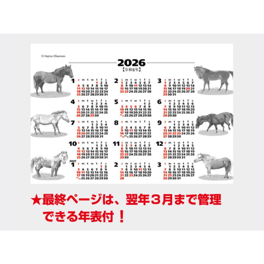 卓上カレンダー 2026年 午（夢） 岡本肇 干支 イラスト MM4 : 良品生活パナール - 通販 - Yahoo!ショッピング