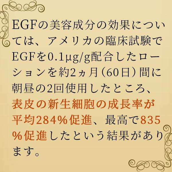 HIGH CONCENTRATE ハイコンセントレート プレミアム EGF セラム お得な2個セット【在庫処分セール】 30ml... : ベ ...