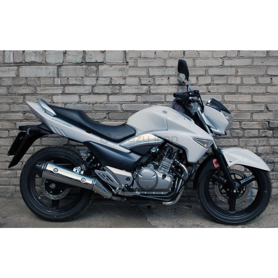 GW250 GSR250 イナズマ250 2012- クラッシュバー エンジンガード スズキ CRAZY IRON [輸入代行/メーカー直送 ...