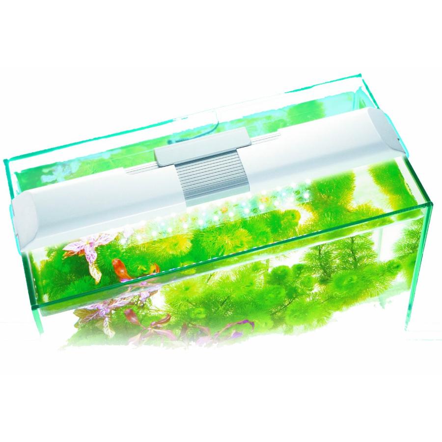 ジェックス GEX クリアLED エコリオスライド 明るさ210lm 色温度11,000k スライド幅調整可能幅30-40cm水槽用 : ldf173059610615199 : ビッグ ...