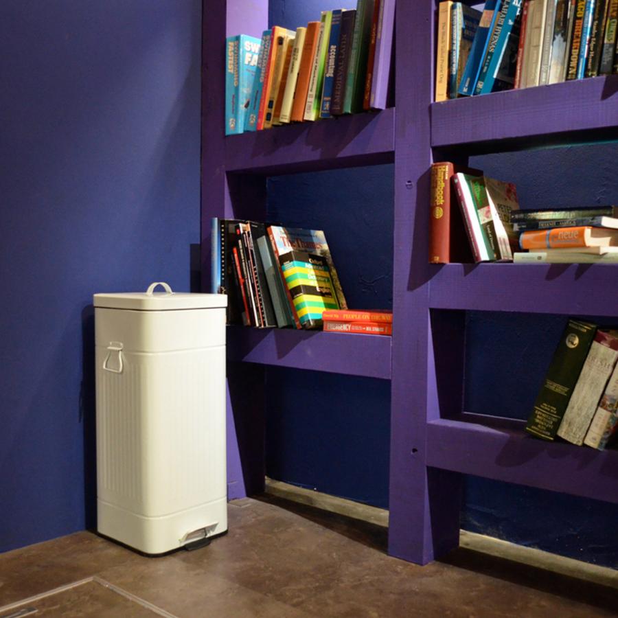 b.c.l ビーシーエル ゴミ箱 ダストボックス ふた付き スリム 30L ガルバ スクエア GALVA SQUARE DUST BOX 879 : inglewood Beauty - 通販 ...