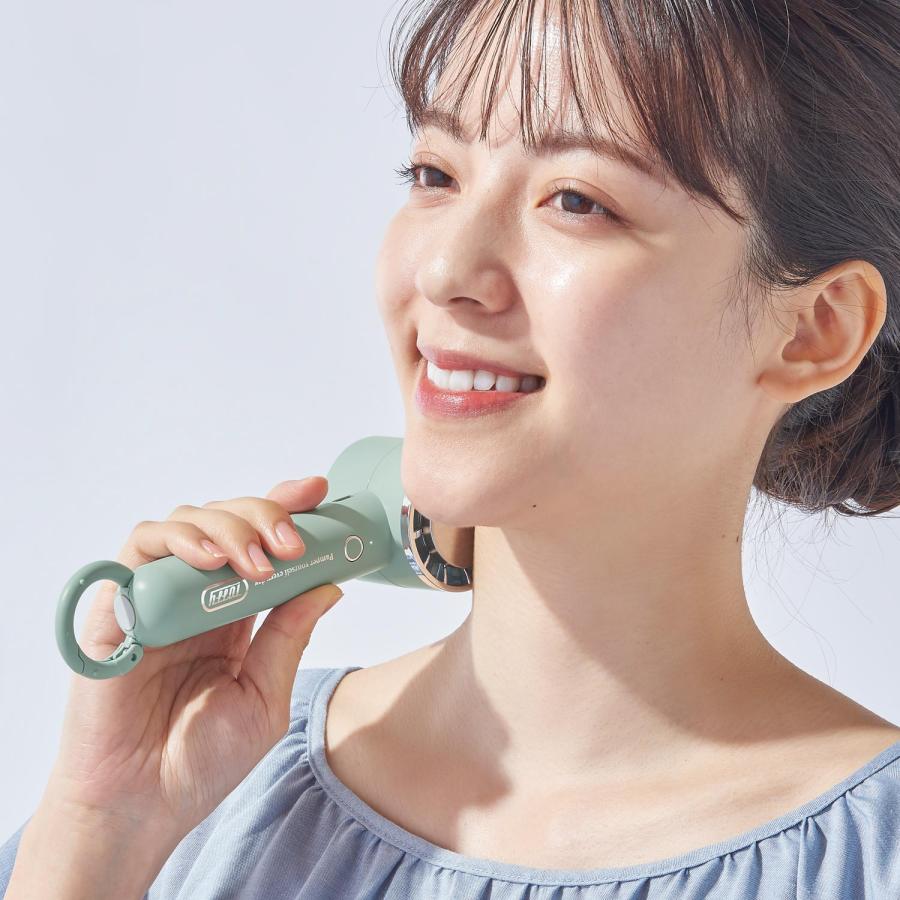 Toffy トフィー ハンディファン 冷却プレート 扇風機 手持ち 卓上 携帯 スタンド カラビナ付 持ち運び 小型 USB充電 風量 3段階調節 ひんやり FN15 : inglewood ...