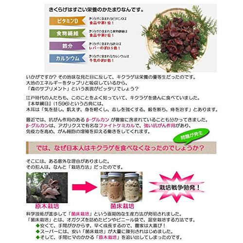 [ イーオロシー ] 国産 原木 きくらげ パウダー 140g (140g×1袋) 【M36】 : ビッグマロン - 通販 - Yahoo!ショッピング