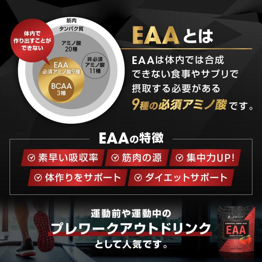 LEVEL．FIT EAA 人工甘味料不使用 無添加 アセロラ風味 630g : ビッグマロン - 通販 - Yahoo!ショッピング