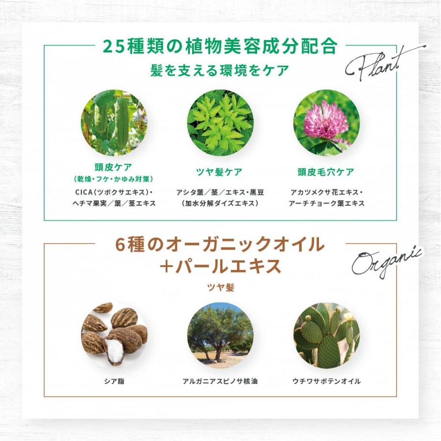 LPLP 白髪に3分【公式】ルプルプ(LPLP) エッセンス カラートリートメント 170g×2本セット スタンドブラシ付き 白髪染め 無添加 ノンジアミン 手袋・ヘアキャップ付 ...