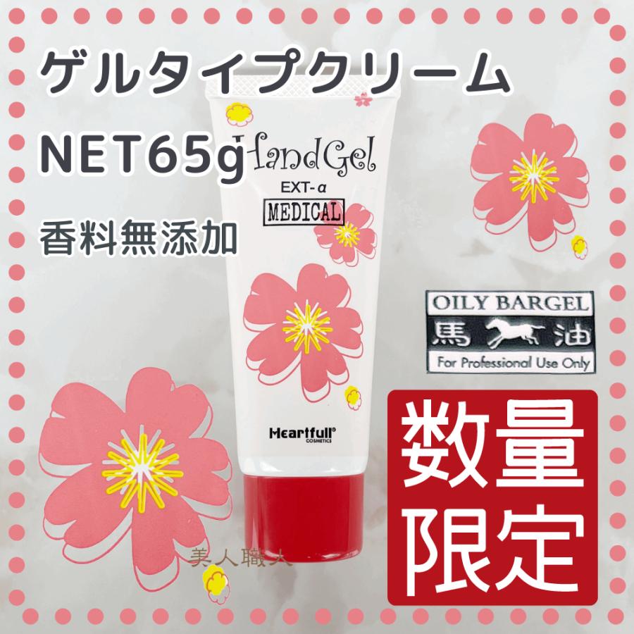 Heartfull COSMETICS 薬用 オイリーバージェル EXT-a 65g 4本セット メール便送料無料 : 美人職人 プロ 業務用 美容専売品 - 通販 - Yahoo!ショッピング
