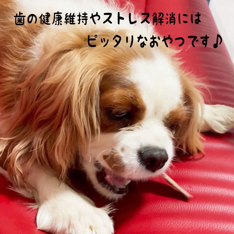 犬 おやつ 犬のおやつ 犬用おやつ 犬おやつ 無添加 国産 ガム 犬のガム 犬用ガム 鹿 鹿肉 骨 硬い 長持ち ジャーキー セット 鹿骨 小型犬 中型犬 大型犬 2袋 : Brownie ...