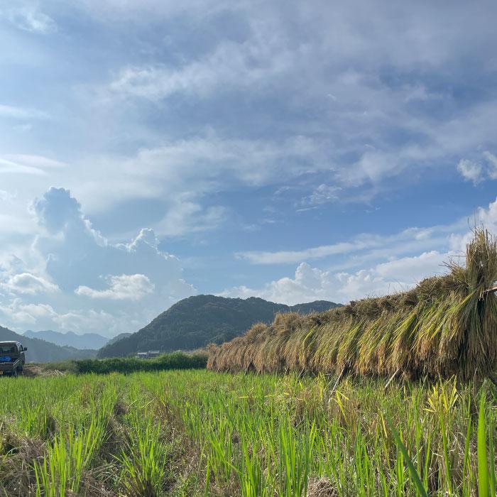 【生産者直送】無農薬・無肥料 精米2kg（九州・佐賀県産 夢しずく 天日干し） : bikky crop&zakka - 通販 - Yahoo!ショッピング