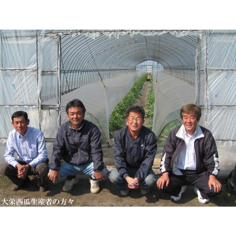 鳥取県産 大栄西瓜 スイカ 3Lサイズ 約8kg 秀品 シャリ感抜群の甘いスイカ : 美味旬果 - 通販 - Yahoo!ショッピング