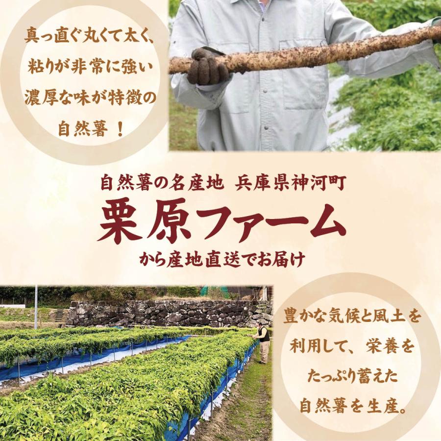 自然薯だしとろろ70gX10袋セット 兵庫県神河町 栗原ファーム : 美味逸品 - 通販 - Yahoo!ショッピング