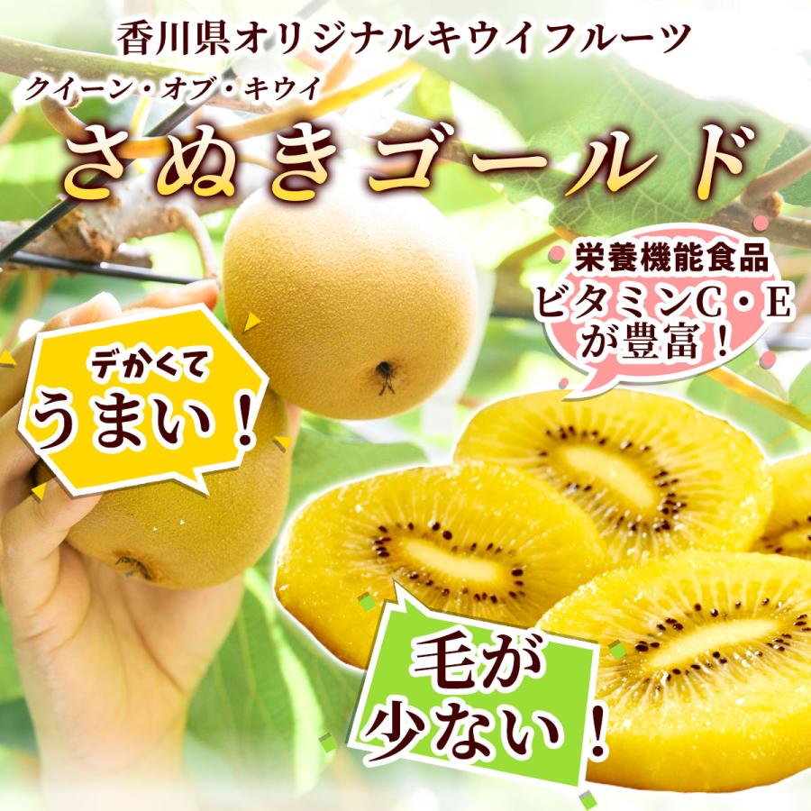 香川県産 キウイ さぬきゴールド 約1kg（5〜6玉）2L〜4Lサイズ 国産 キウイバードから直送 1月下旬までの販売 大玉 世界最大品種 ゴールドキウイ フルーツ : 美味逸品 - 通販 ...