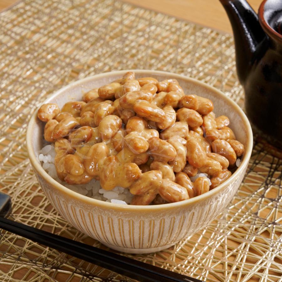 大粒信州大豆100% 川中島納豆（90g）30パック 増屋納豆店 なっとう 丸大豆 究極 最高 特大 産直 お取り寄せ グルメ 全国納豆鑑評会 農林水産大臣賞 受賞 : 美味逸品 - 通販 ...